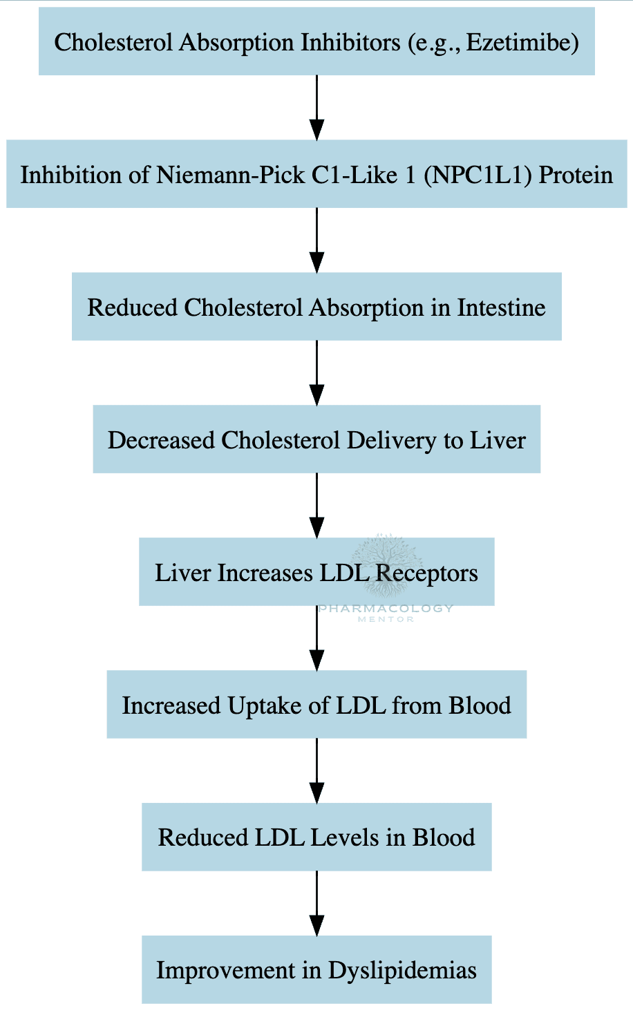 Drugs Used for Dyslipidemias | Pharmacology Mentor