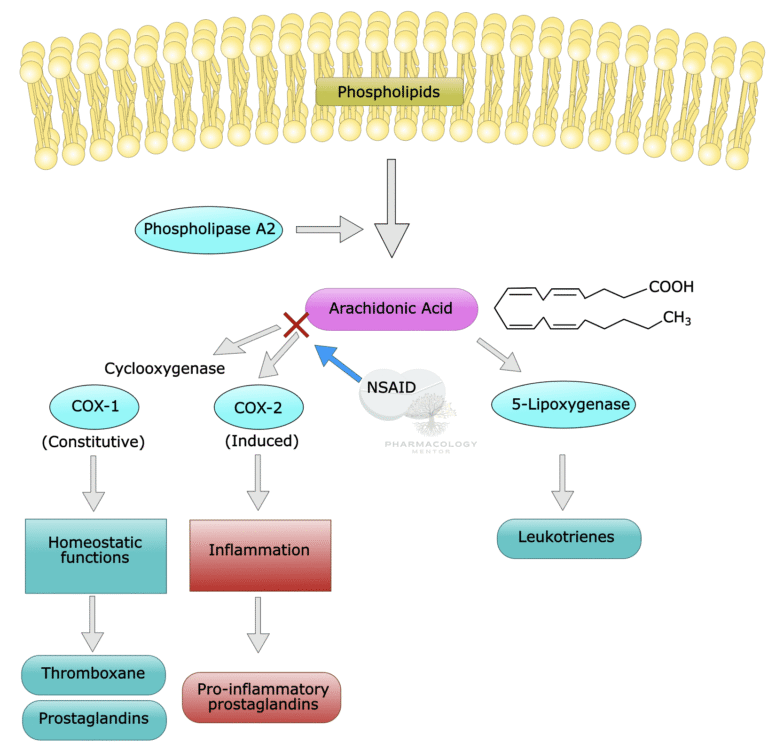 Non-Steroidal Anti-Inflammatory Drugs (NSAIDs) | Pharmacology Mentor
