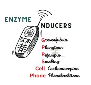 Enzyme inducers | Pharmacology Mentor