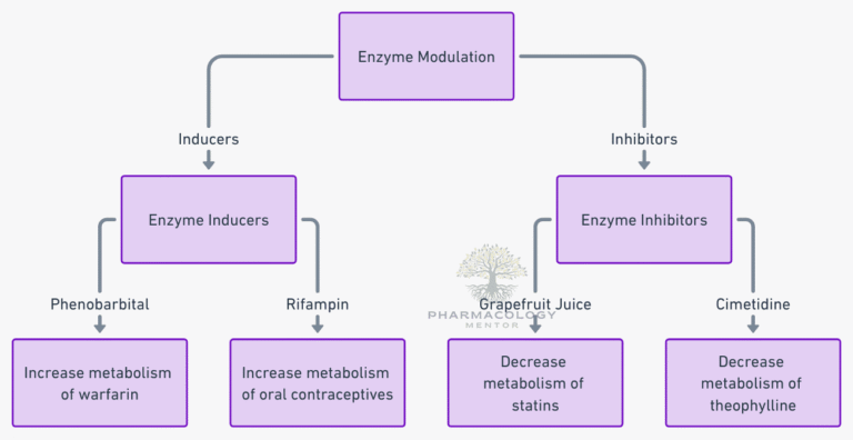 Enzyme inducers | Pharmacology Mentor