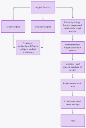Angina Pectoris: A Comprehensive Guide | Pharmacology Mentor
