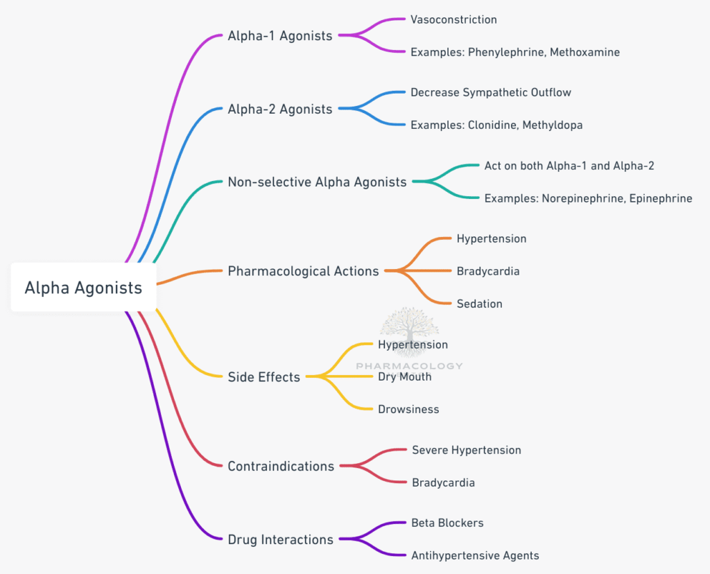 Your Ultimate Guide to Alpha Agonists: What You Need to Know ...