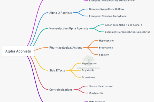 ANS | Pharmacology Mentor