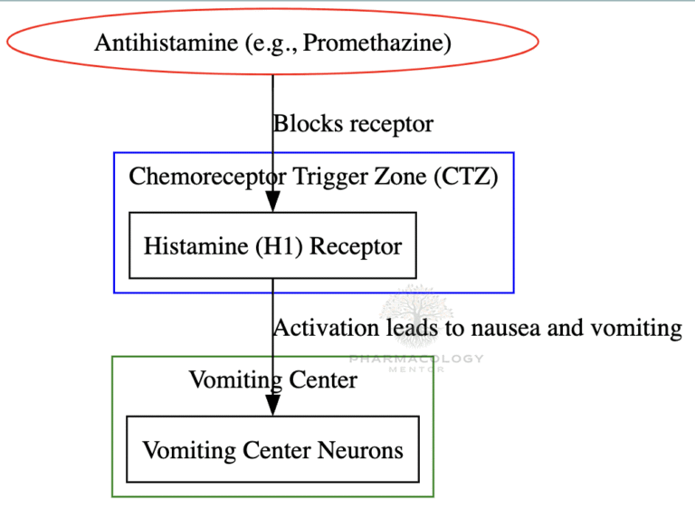 The Ultimate Guide to Antiemetic Drugs | Pharmacology Mentor