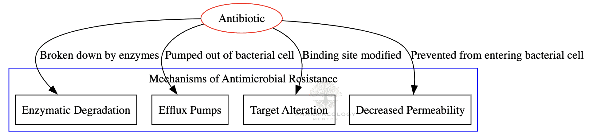 Understanding Antimicrobial Resistance | Pharmacology Mentor