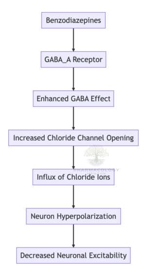 Benzodiazepines: A Complete Overview | Pharmacology Mentor
