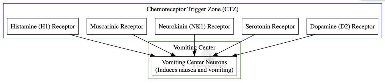 The Vomiting Center and CTZ | Pharmacology Mentor