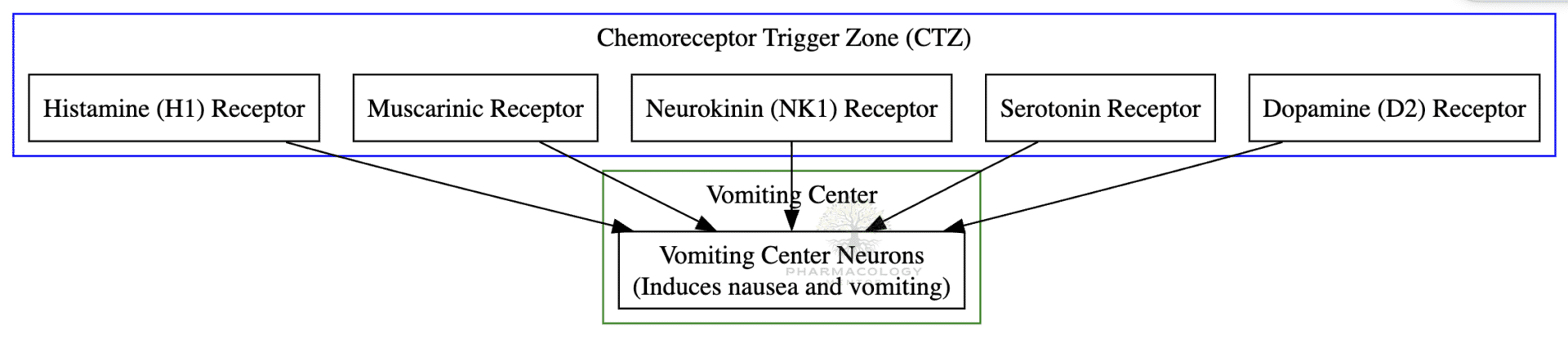 The Vomiting Center and CTZ | Pharmacology Mentor