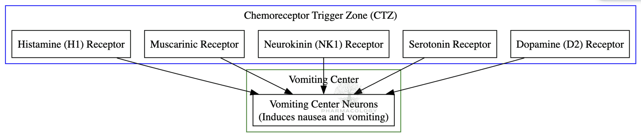 Pharmacology of Antiemetic Drugs | Pharmacology Mentor
