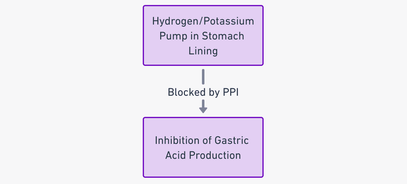 Pharmacology of Proton Pump Inhibitors | Pharmacology Mentor