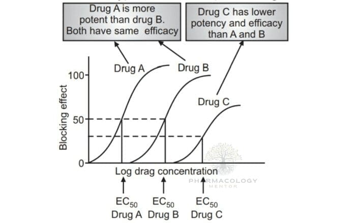Drug Potency | Pharmacology Mentor
