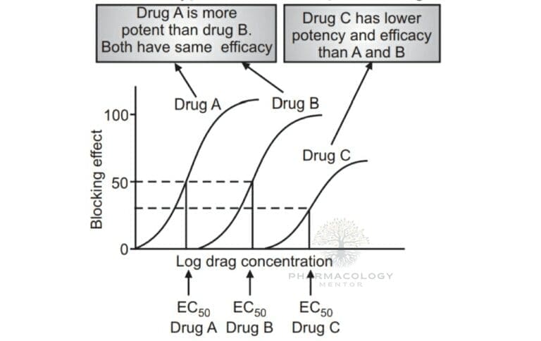 Drug Potency | Pharmacology Mentor