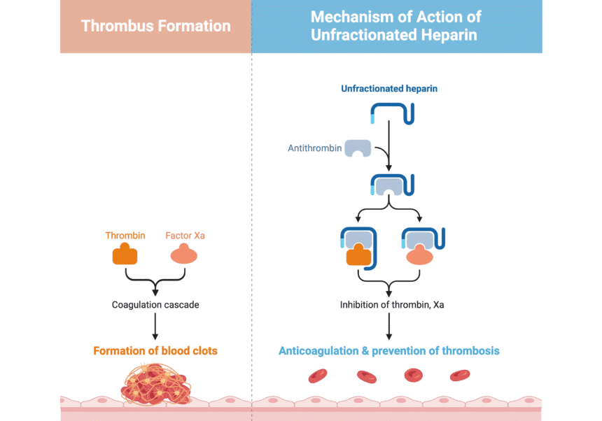 Heparin: A Comprehensive Guide | Pharmacology Mentor