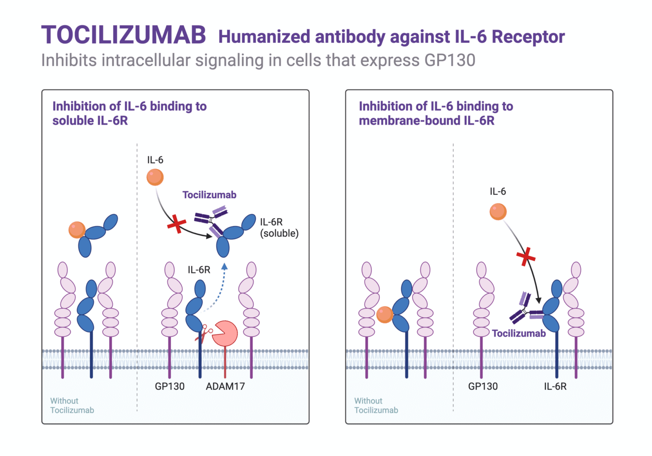 Tocilizumab: IL-6 Receptor Inhibitor | Pharmacology Mentor