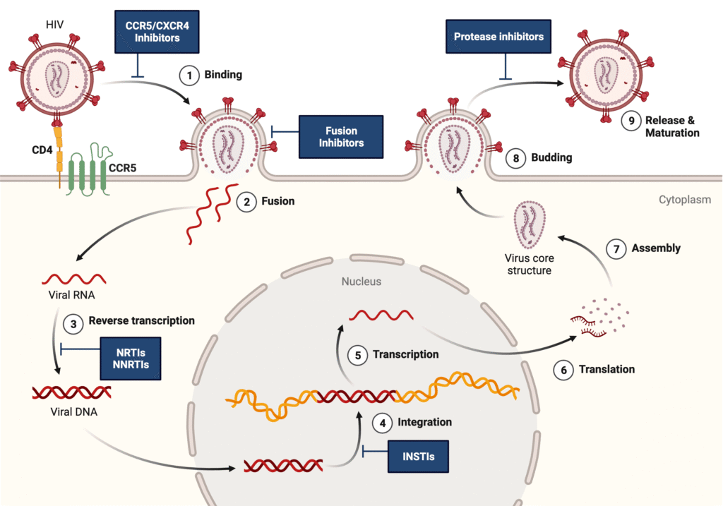Antiretroviral Drugs | Pharmacology Mentor