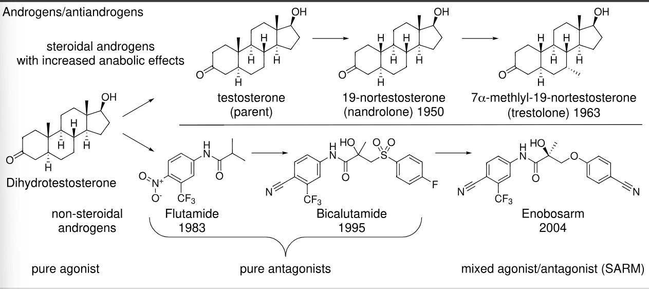 Pharmacology of Androgens | Pharmacology Mentor